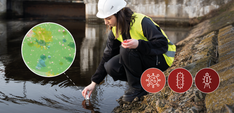 The Effects of Sewage Pollution on The Environment and How to Prevent ...